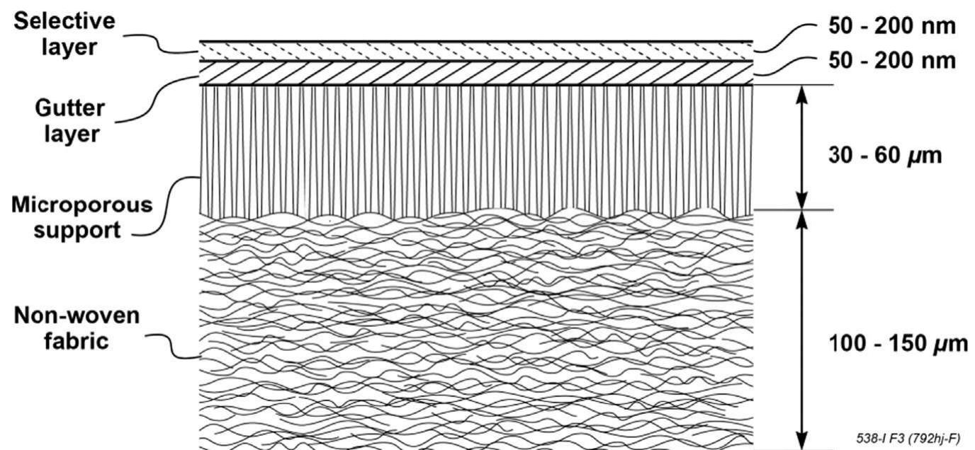 Schematic illustration of thin-film composite polaris