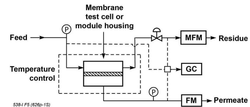 Schematic of the pure- and mixed-gas test system used to