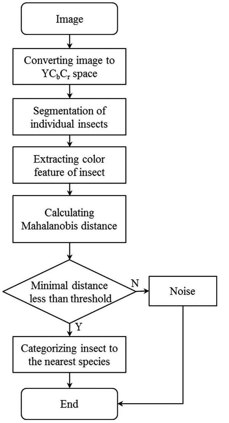 Schematic flow of insect segmentation and species