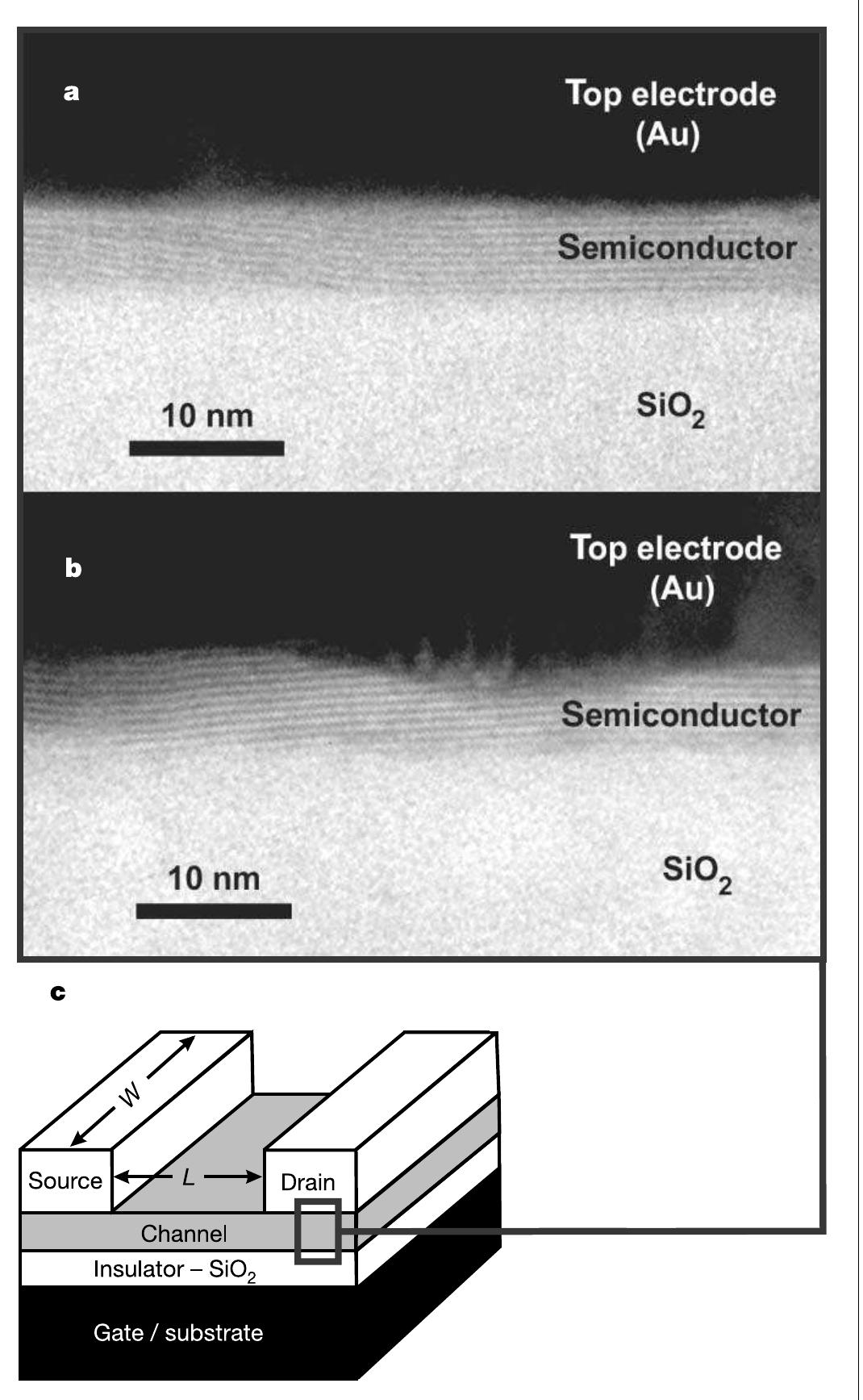 Diagram of transistor, with tem cross-section of spin-coated