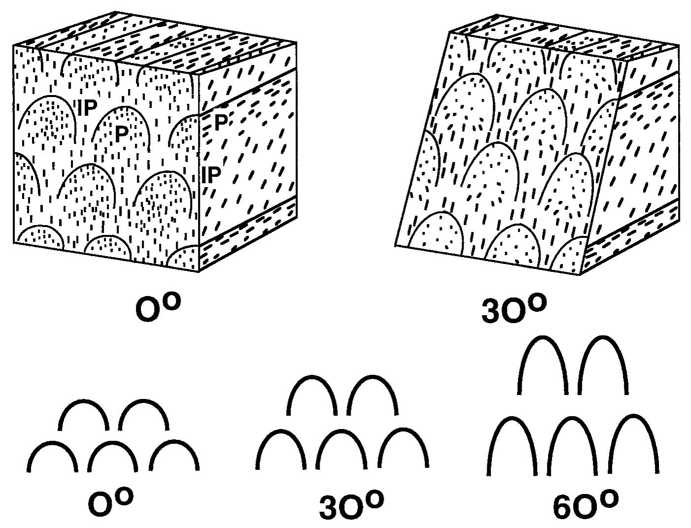 Schematic block diagrams of prismatic enamel (above),