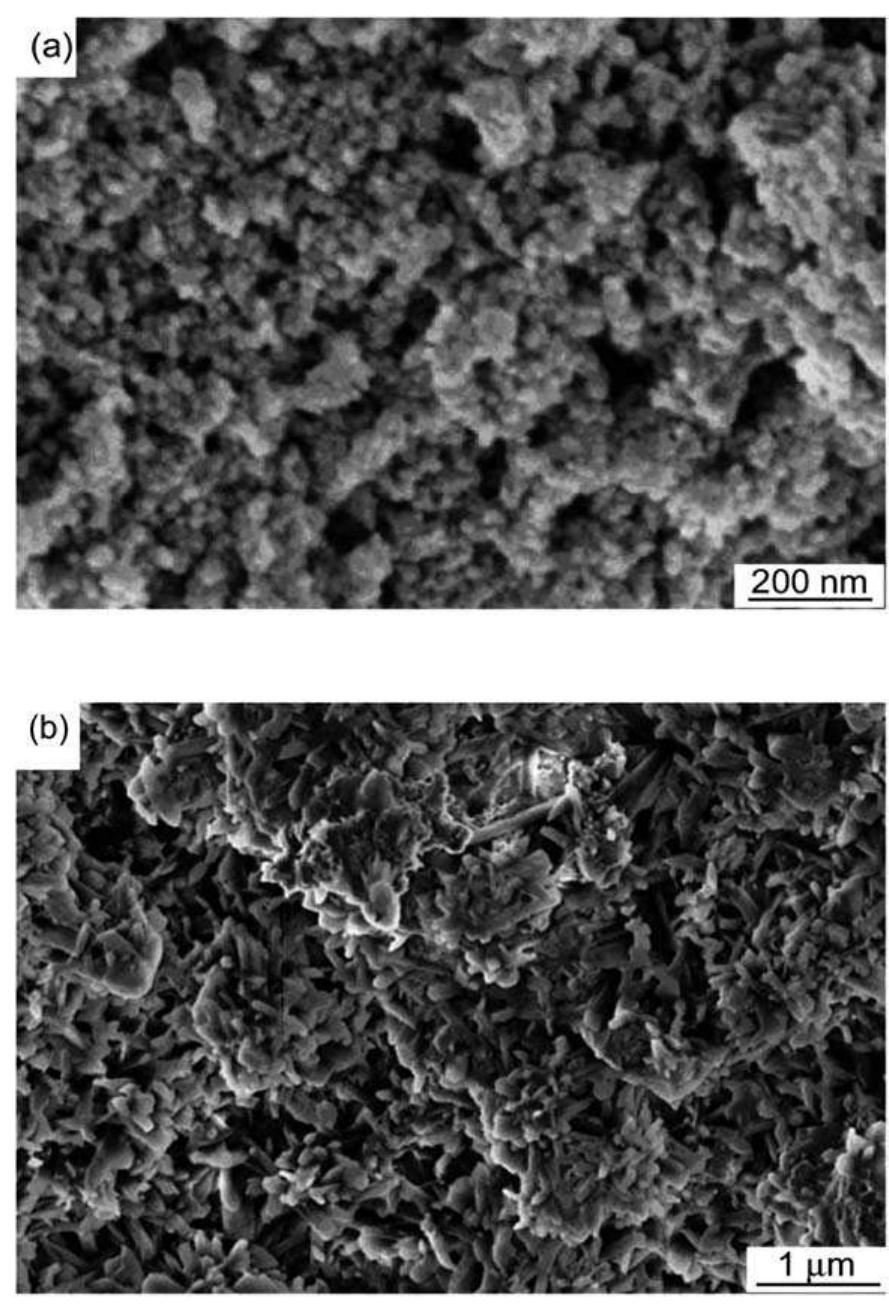 (a) a sem image of the nksdc (b) a sem image of the cross-
