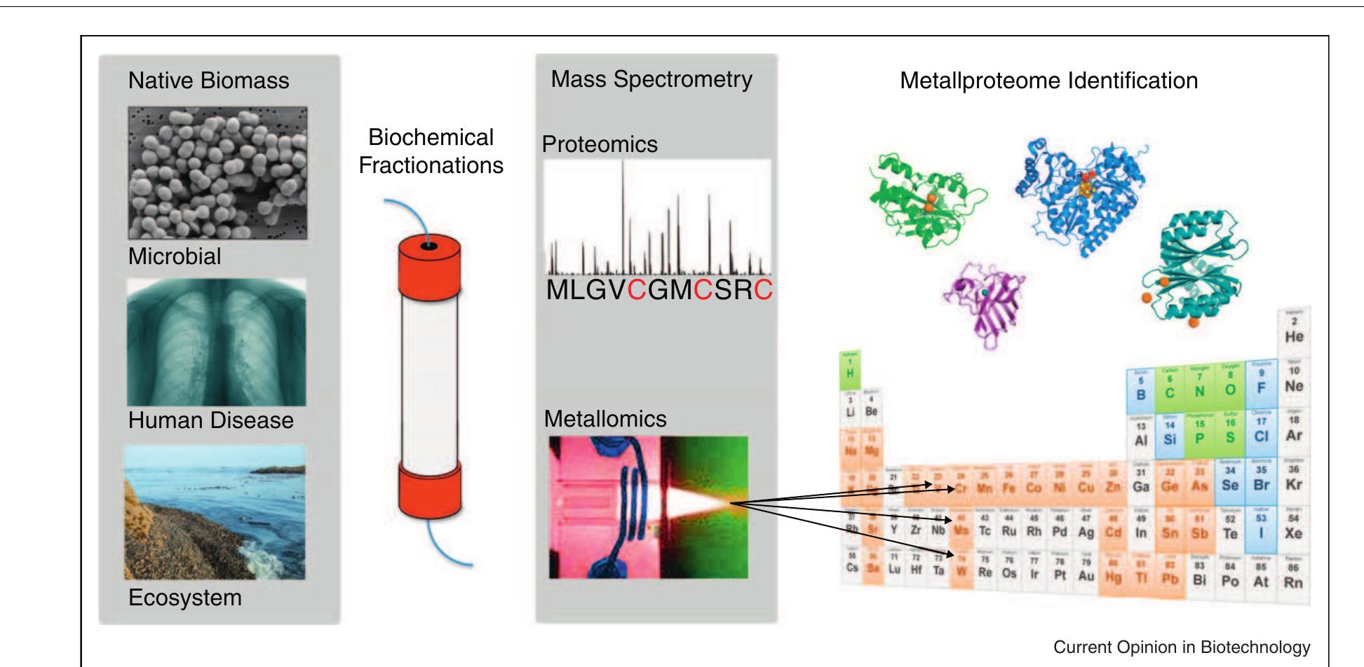 Diagrammatic representation of state-of-the-art