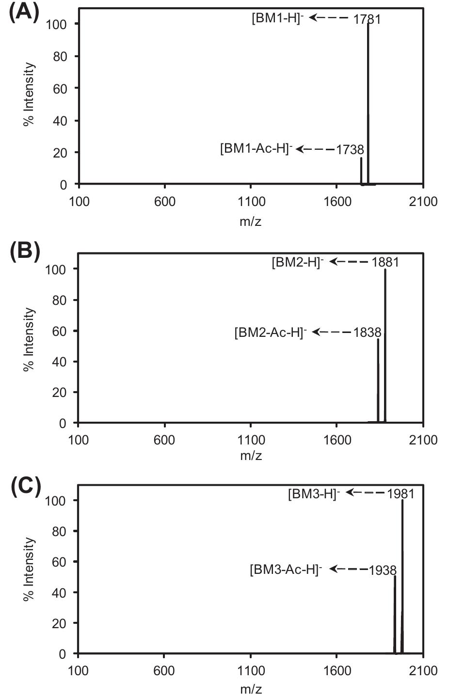Esi-cad mass spectra of biotinylated succinoglycan monomers