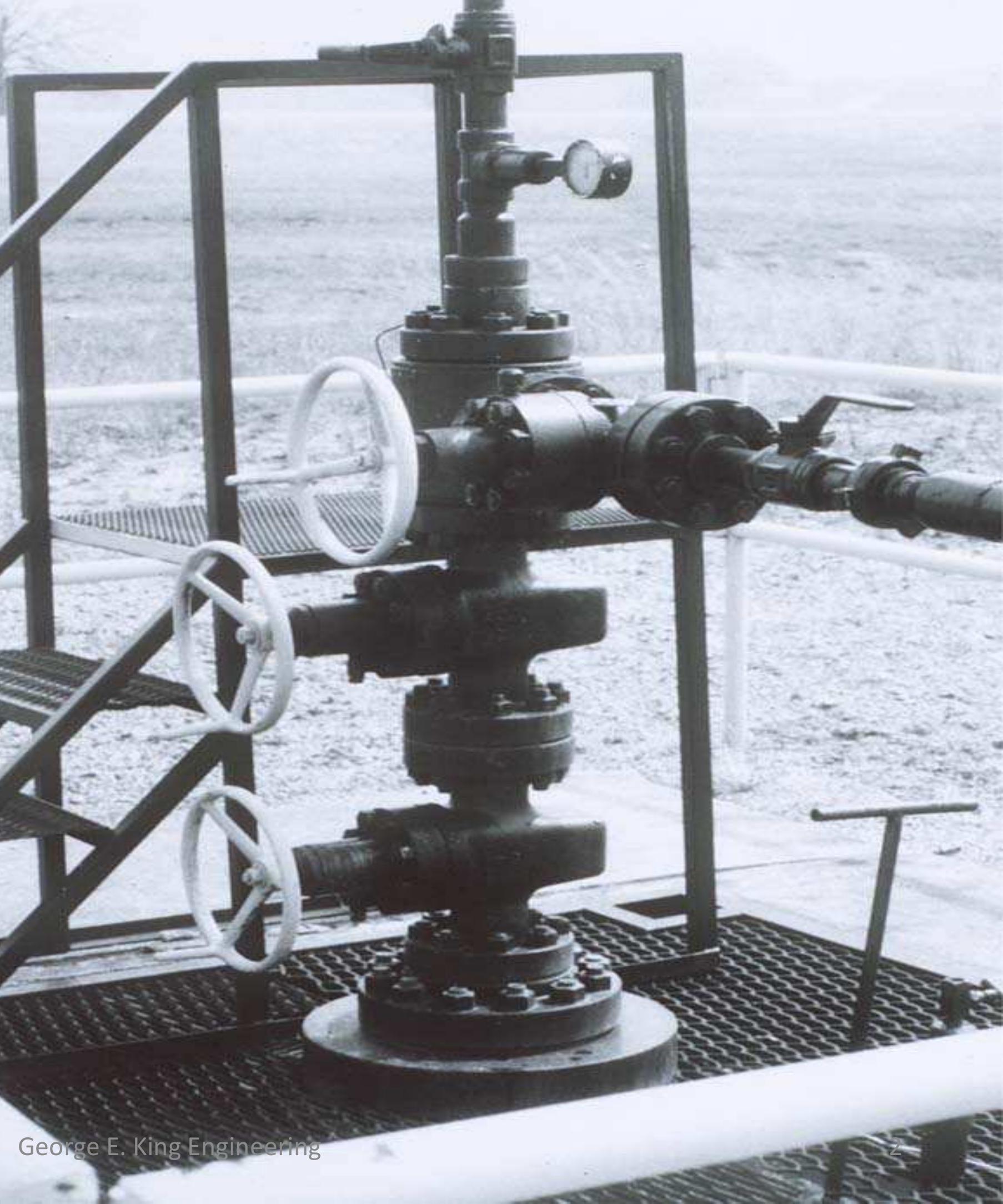 Figure 1 - Wellheads and Trees