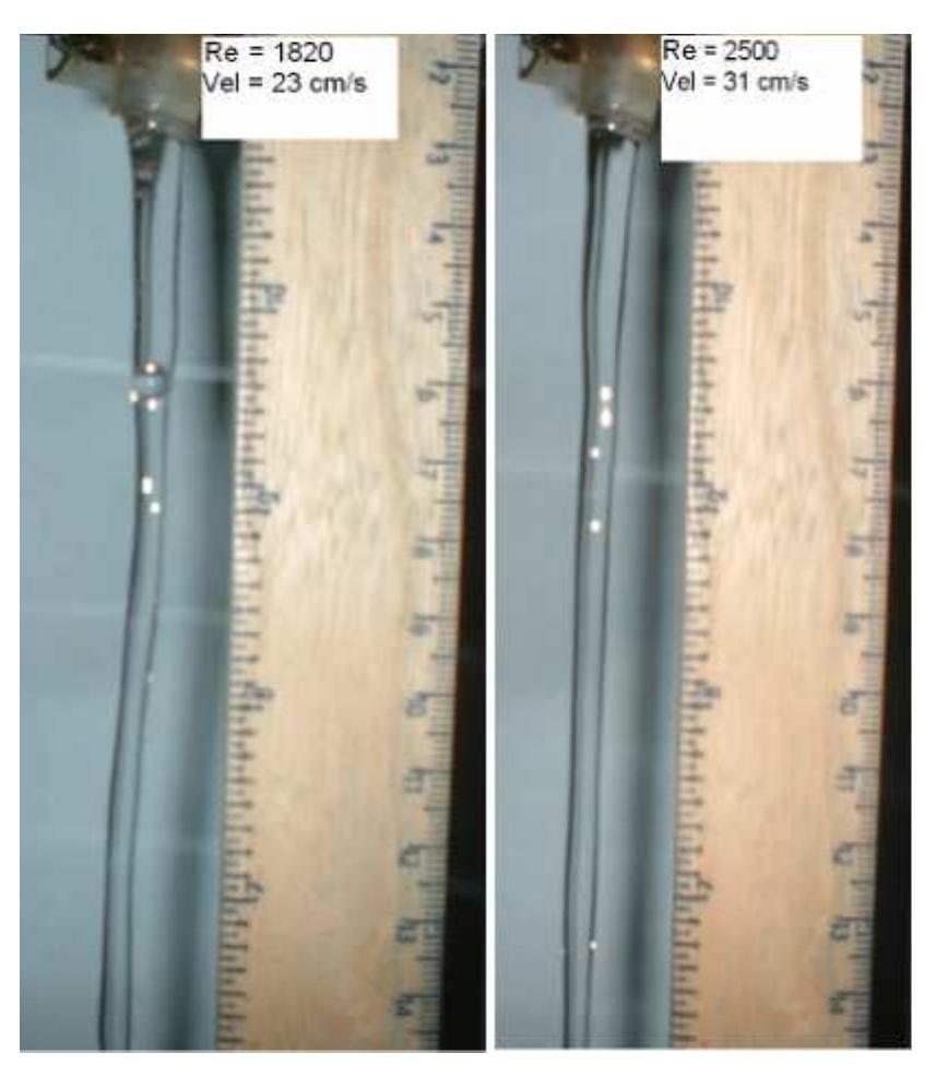 Laminar and turbulent flow in water figure 1. photographs