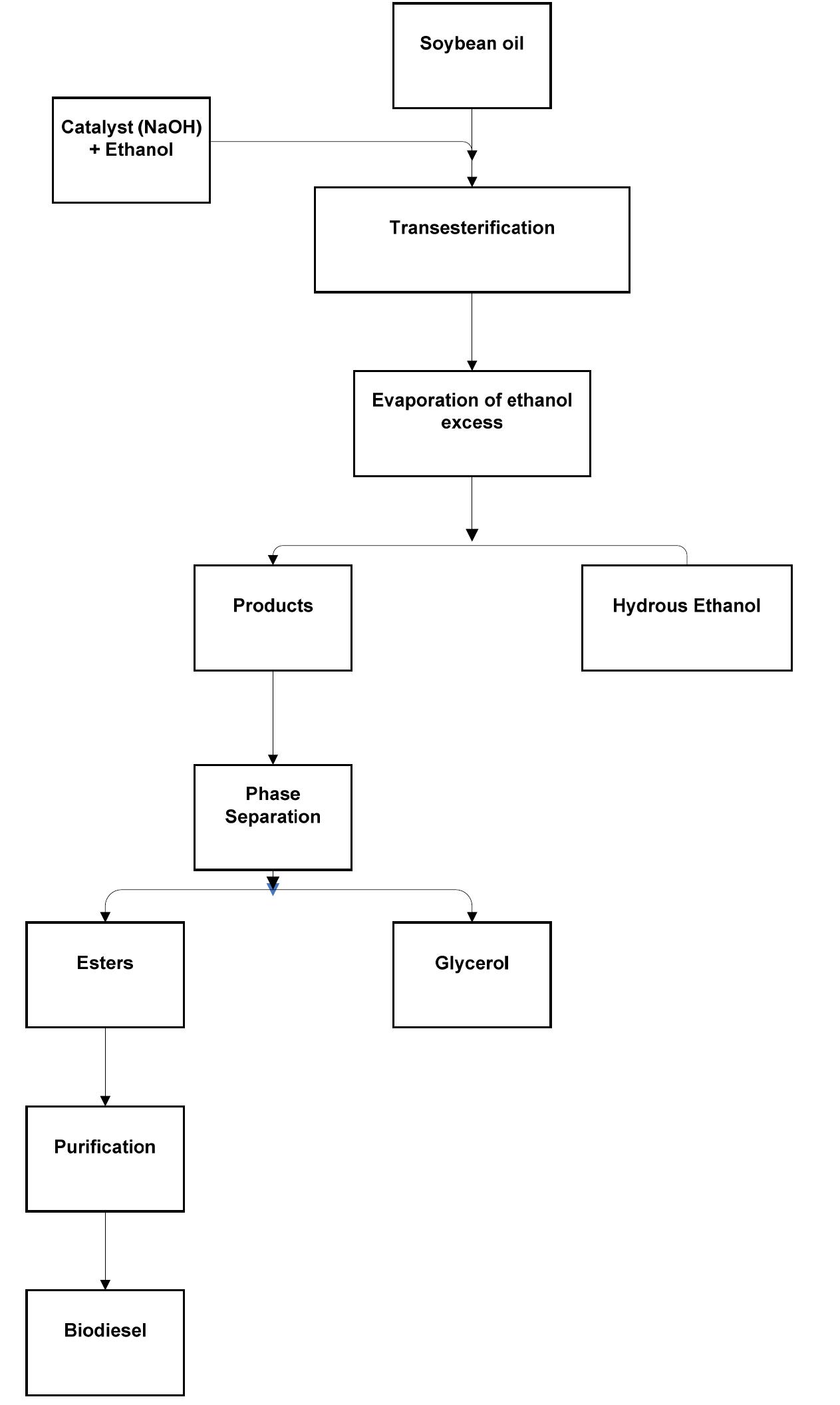 Process flow for biodiesel process.