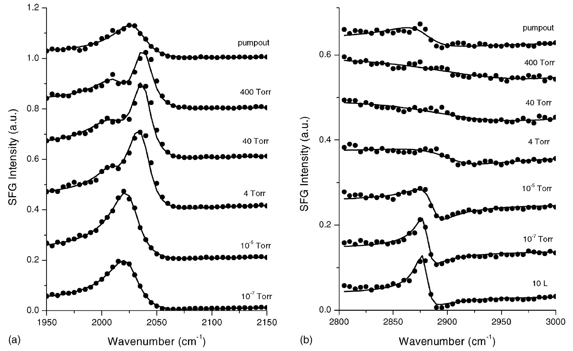 Sfg spectra of the pt(111) surface pretreated with 101 of