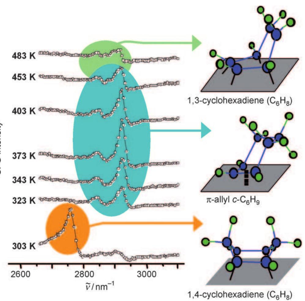 Sfg spectra of the hydrogenation of cyclohexene to cyclo-