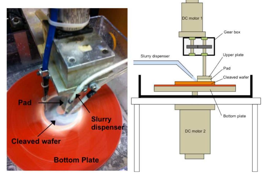 Face-up cmp polishing tool. * coefficient of variation
