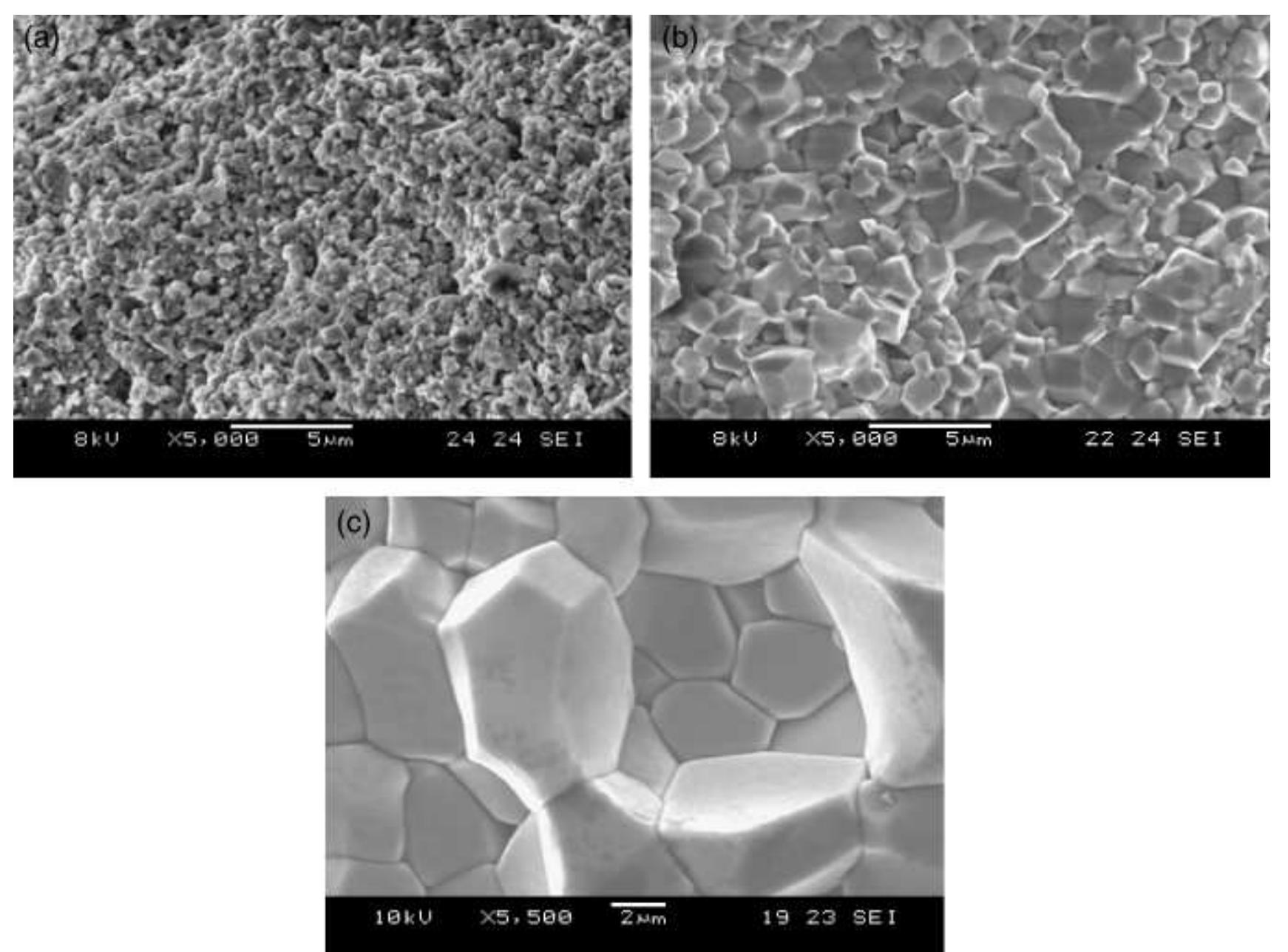 Scanning electron microscopic (sem) images of fractured