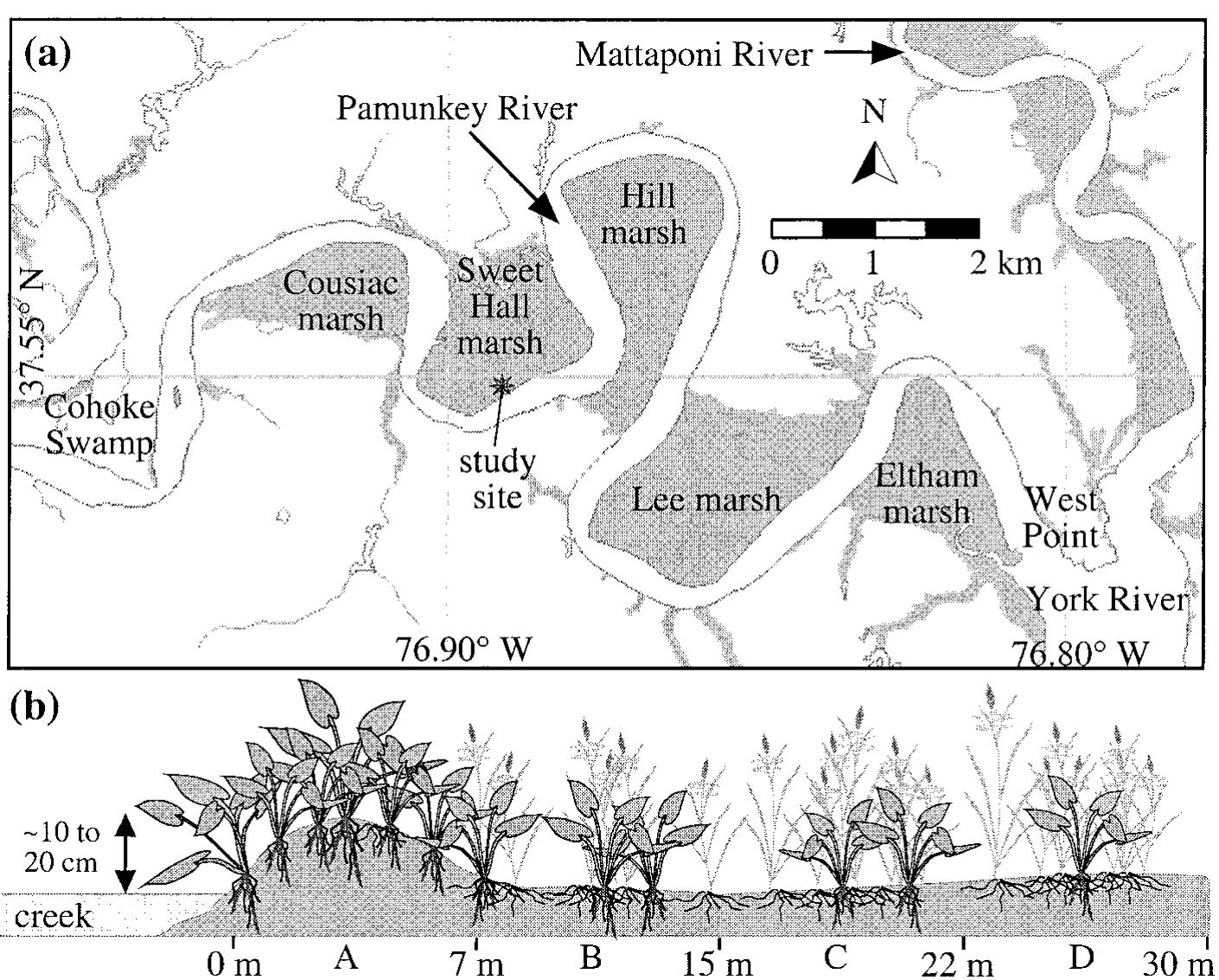 (a) map of pamunkey river, virginia showing location of