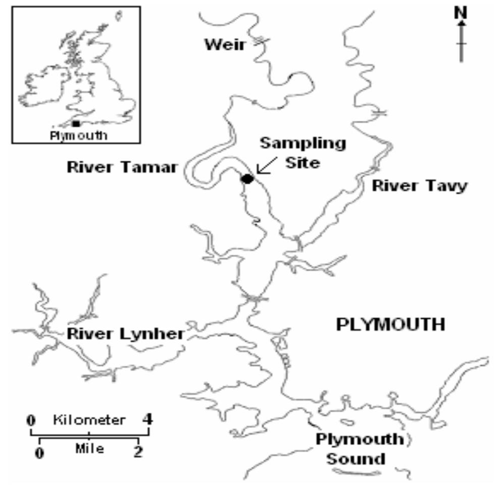 Map of the tamar estuary showing the sampling site the tamar