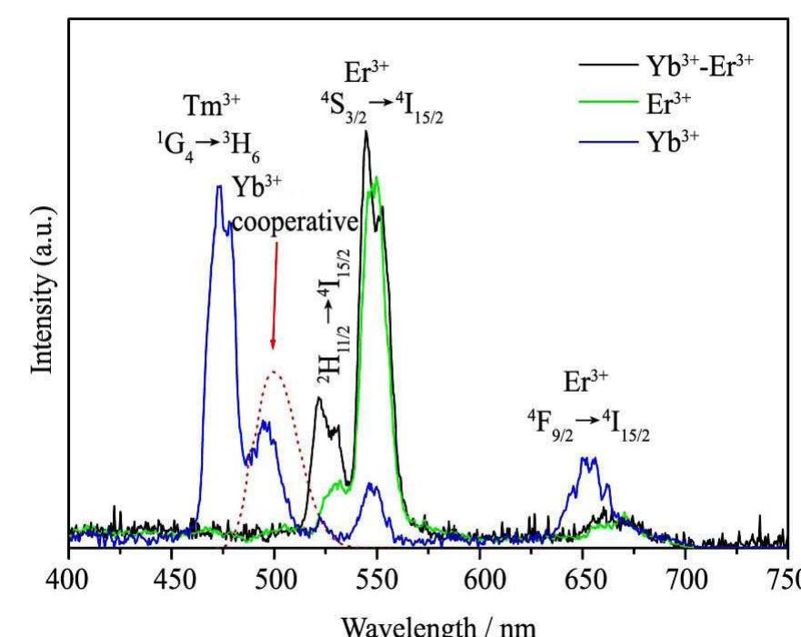 Up-conversion of visible emission spectrum under yb**-