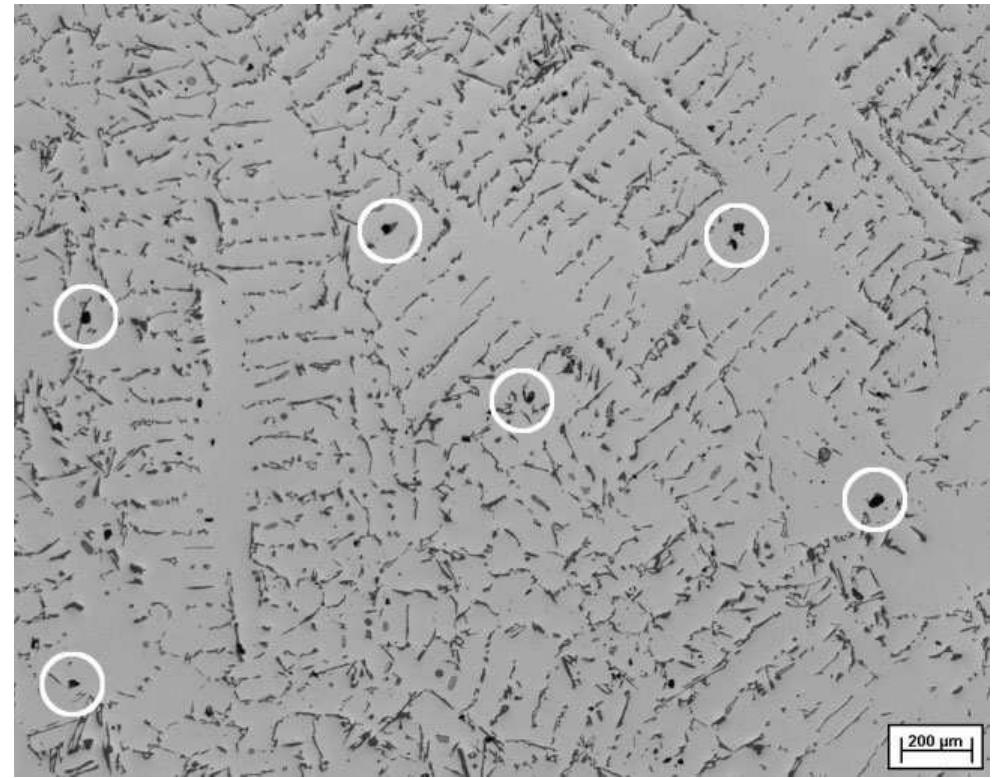 Optical micrograph, showing the dendritic structure in two