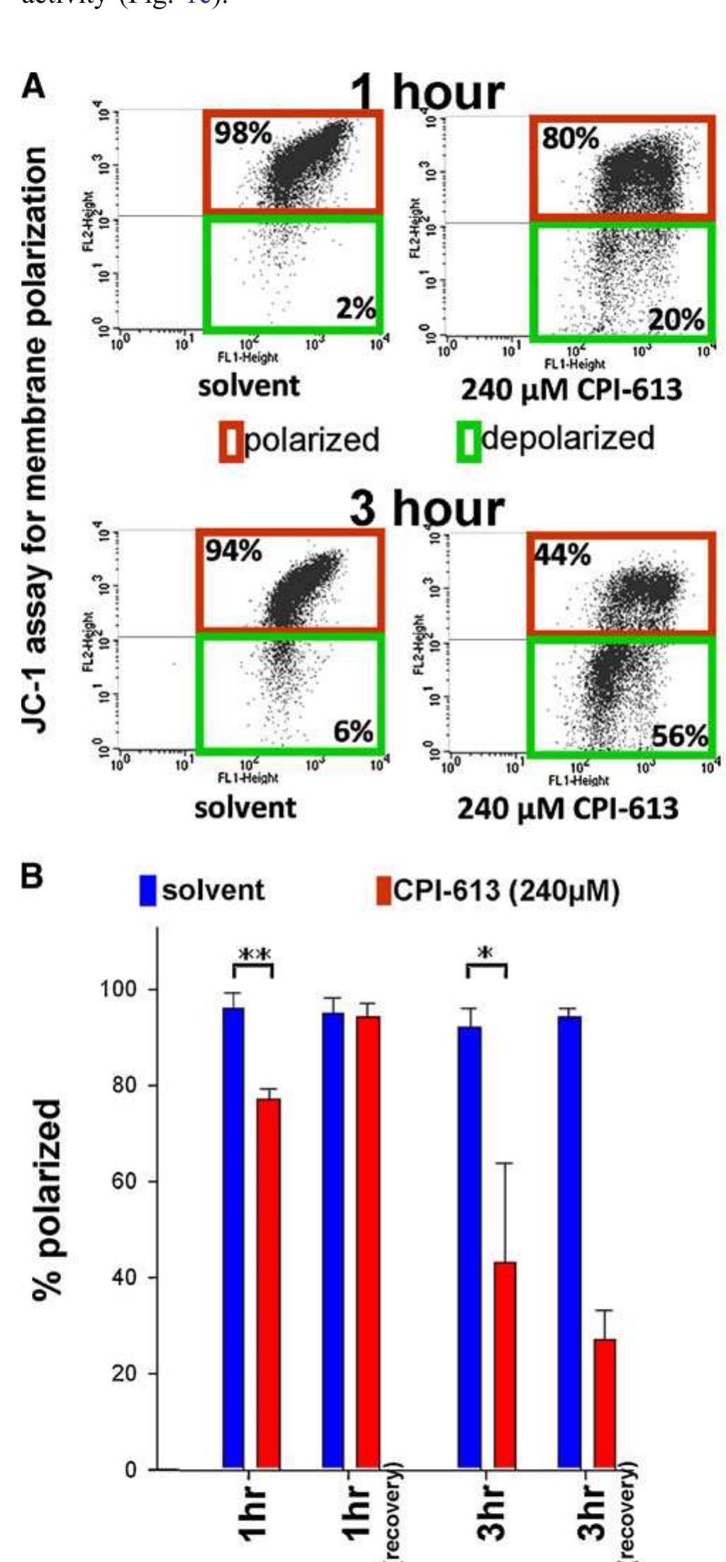 Cpi-613 treatment causes loss of mitochondrial membrane