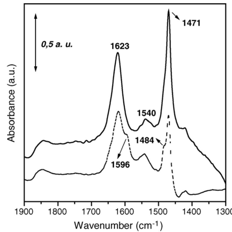 Infrared spectra of the 3.7 cuz catalyst submitted to