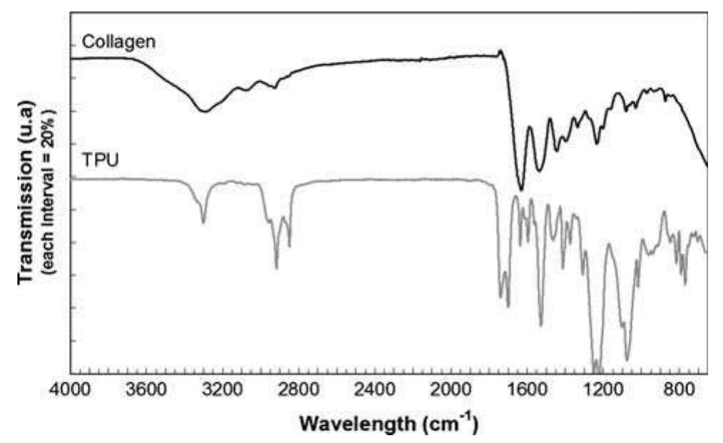 Attenuated total reflectance fourier transform infrared