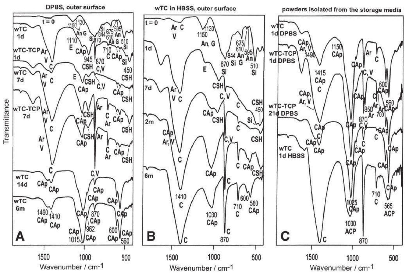 Most representative atr-ftir spectra. (a) unhydrated powders