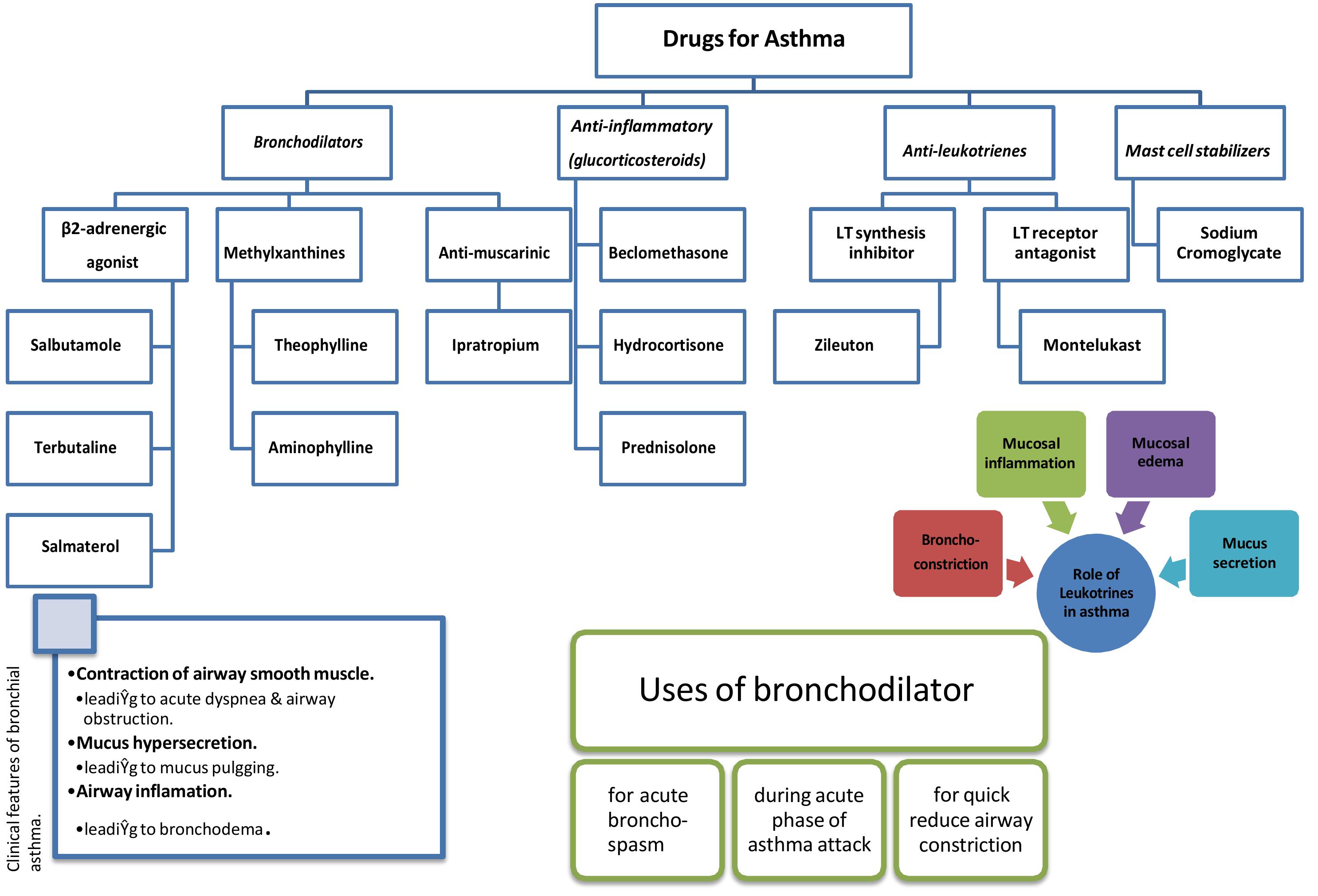 Figure 3 - from Pharmacology mind maps