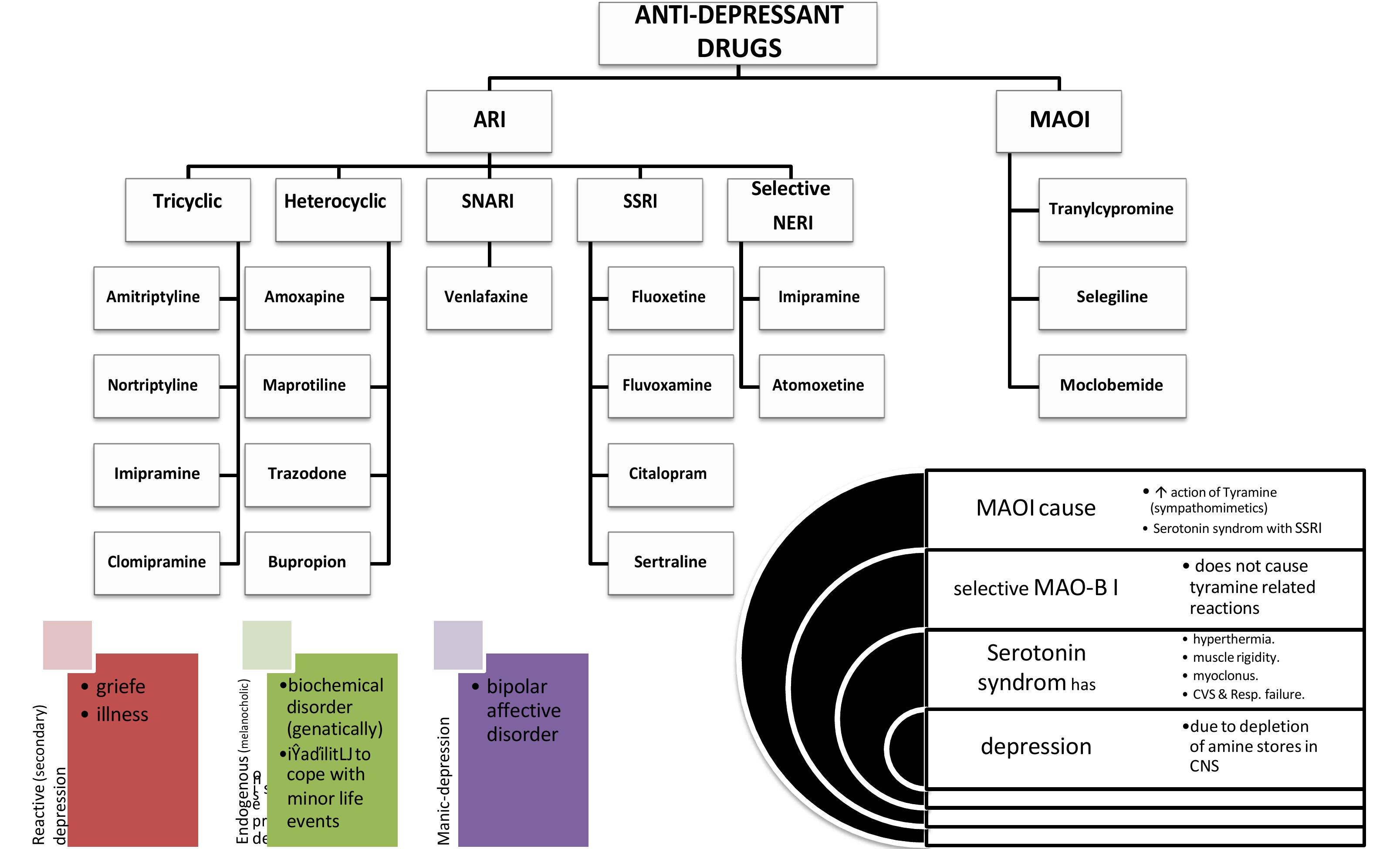 Figure 17 - from Pharmacology mind maps