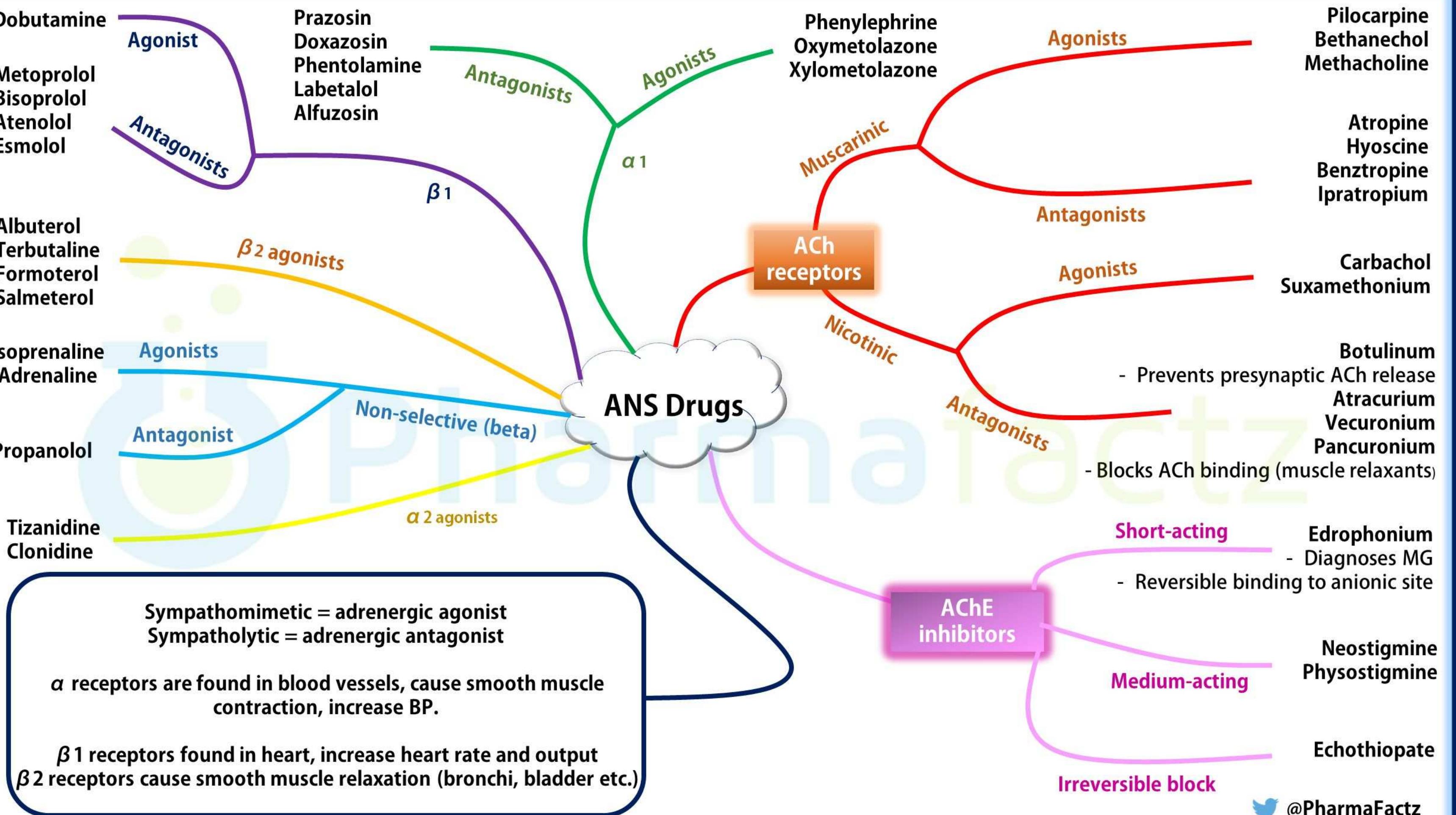 Figure 20 - Pharmacology mind maps