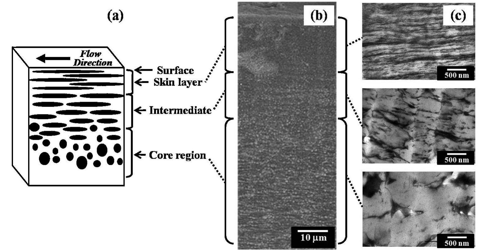 (a) schematic of the skin/core structure of injection-molded