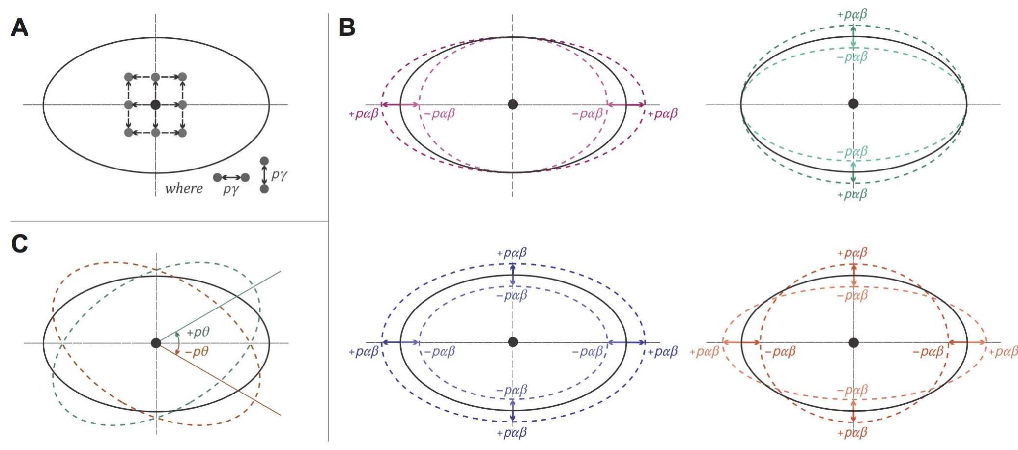 The different ways the ellipses’ properties are modified