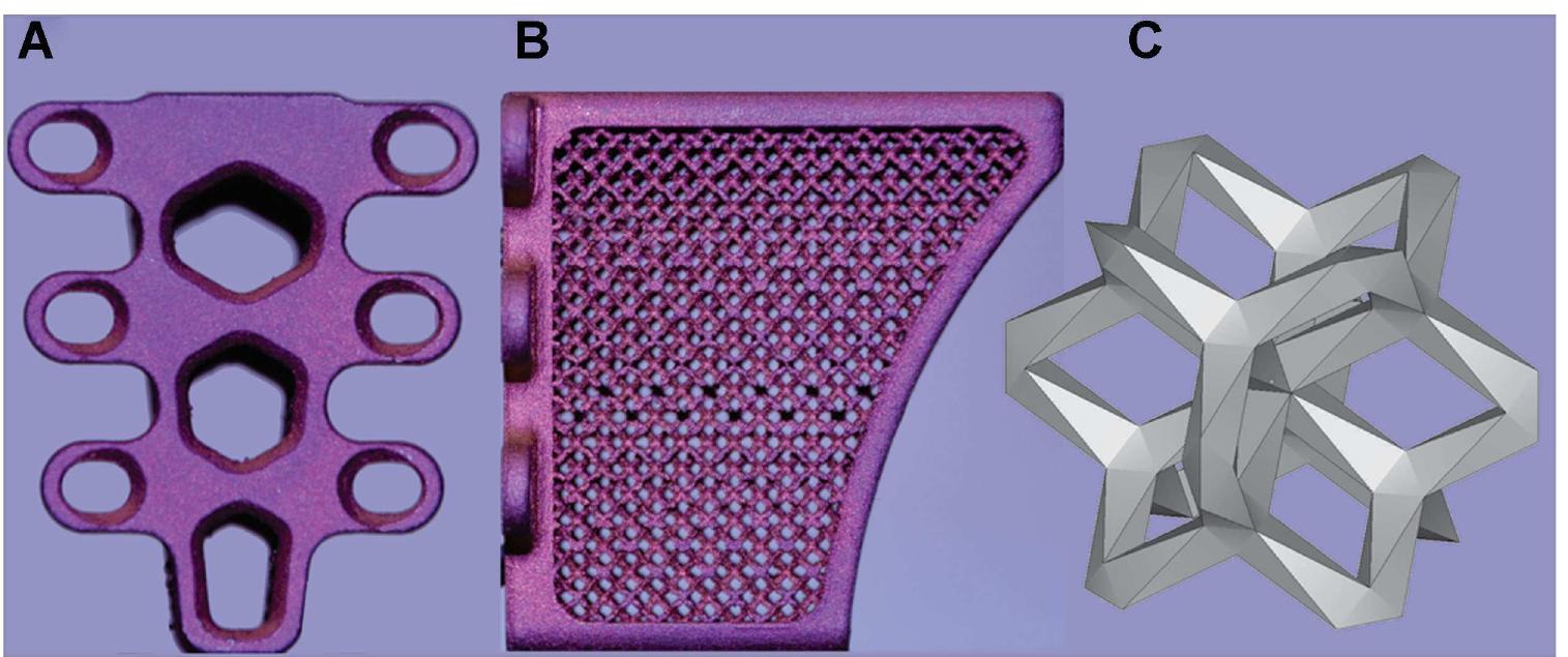 Structure of the titanium cage: frontal (a) and lateral (b)