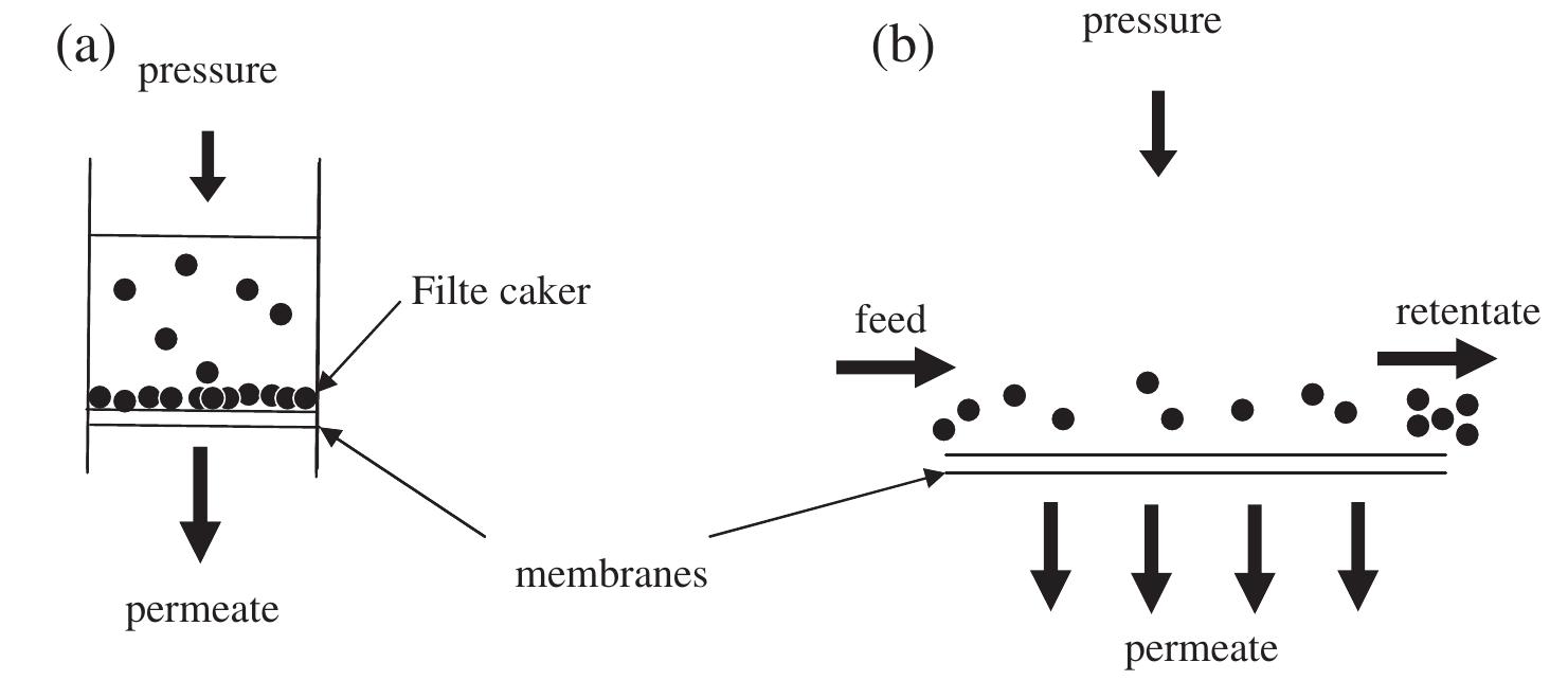Two forms of membrane filtration, (a) dead-end and (b)