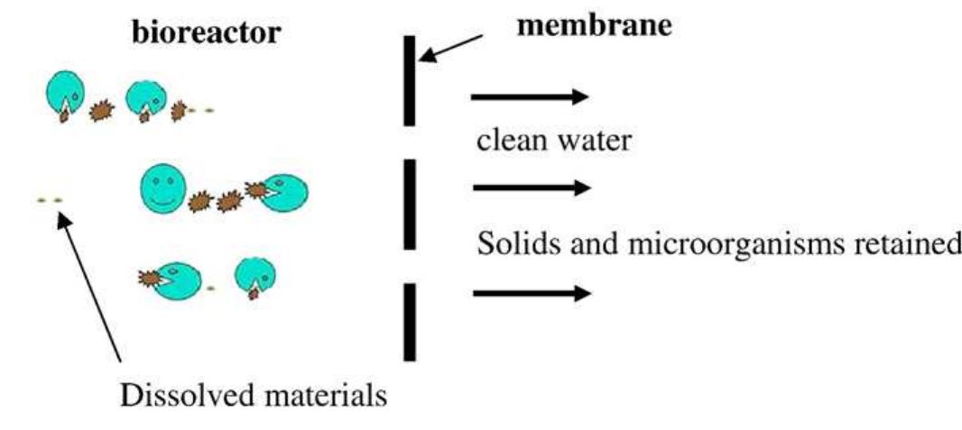 Simplified schematic description of the mbr process [57].