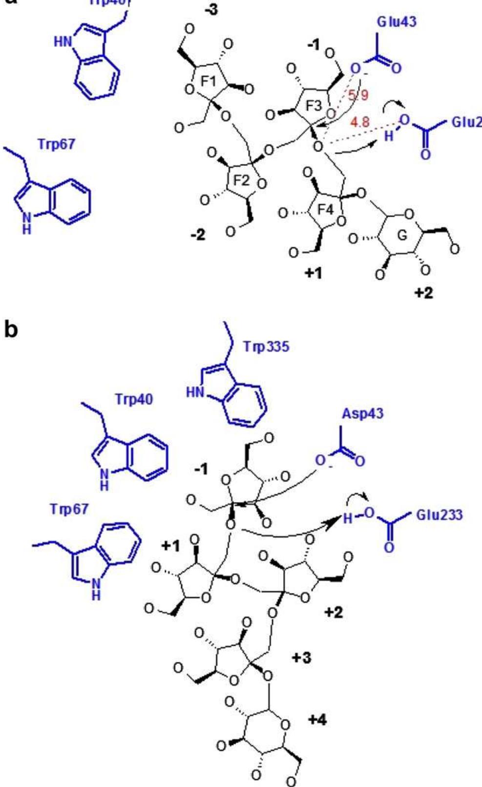 Schematic 2d diagram of catalytic mechanism of a)