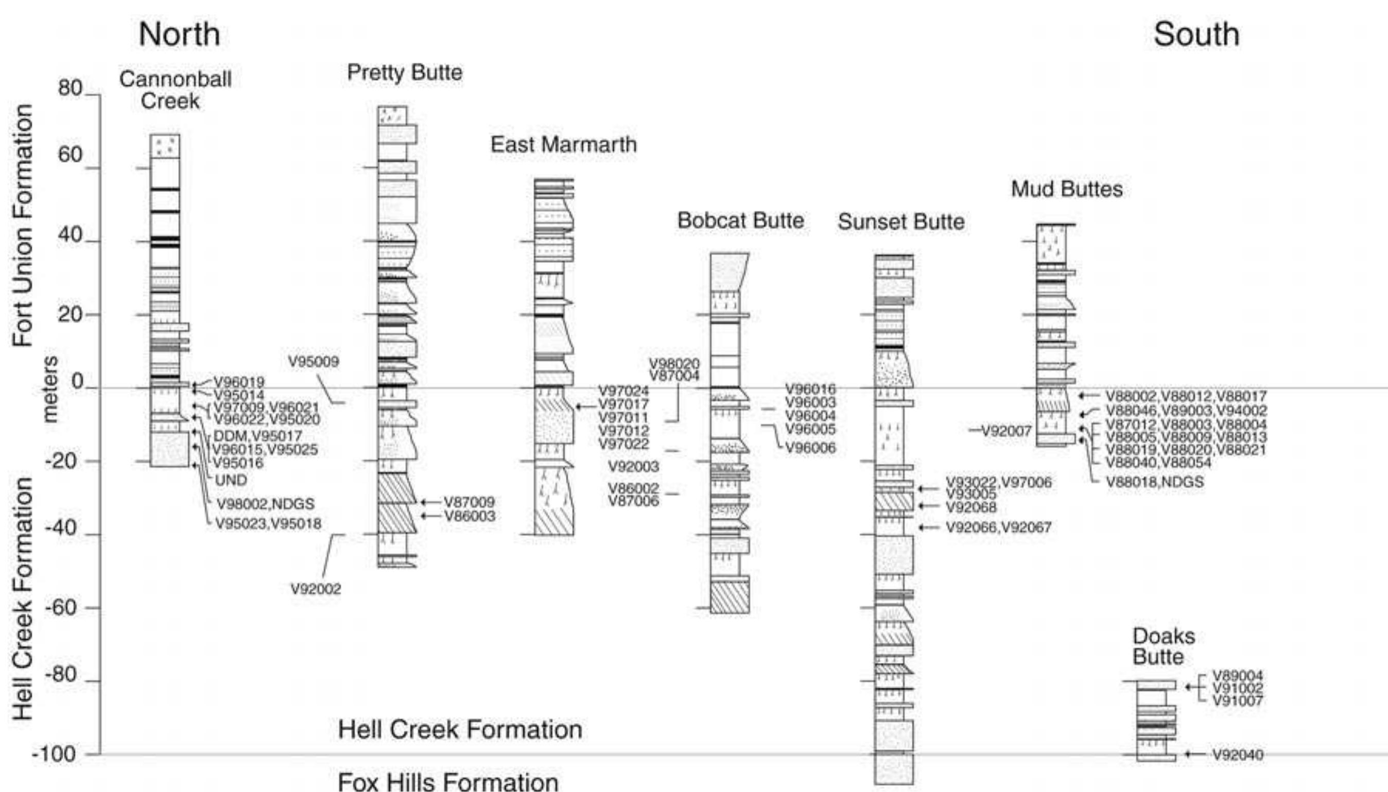 Stratigraphic Cross Section Showing Key Sections Arranged