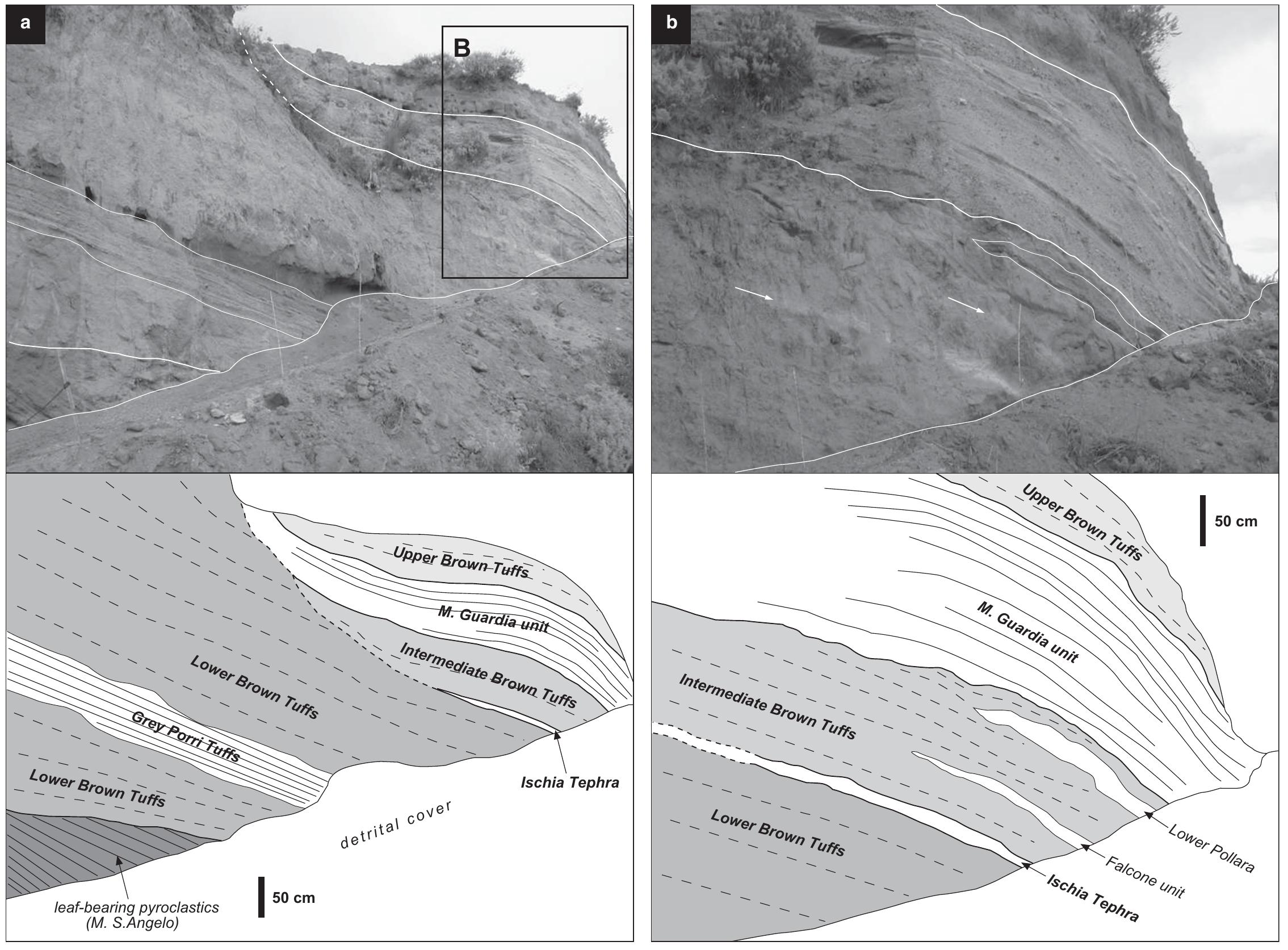 5. (a) outcrop photographs showing the stratigraphic