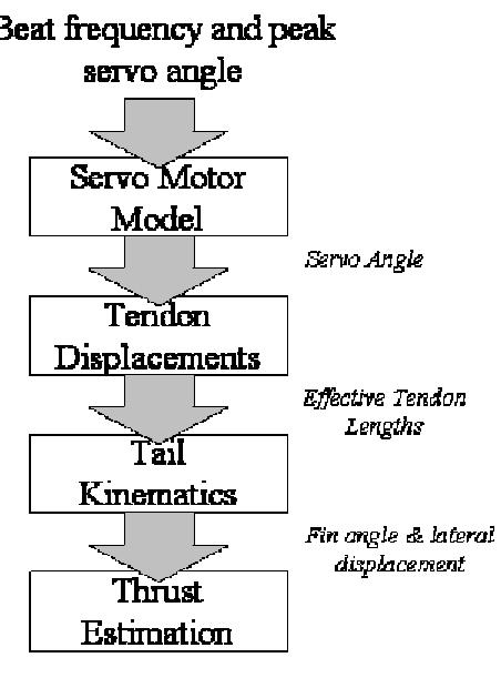 Tendon drive propulsion system flowchart the aim of modeling