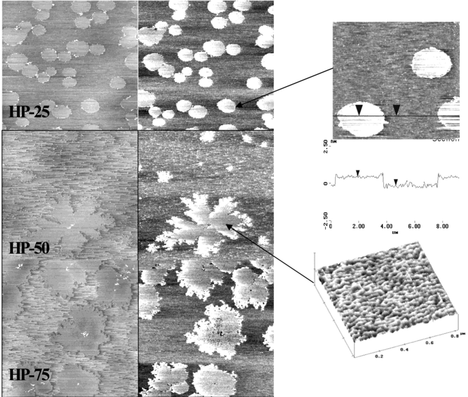 Afm images of lb monolayers for all amphiphilic