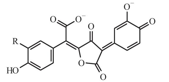 40. chinonmethid anion of xerocomic acid, r =h chinonmethid