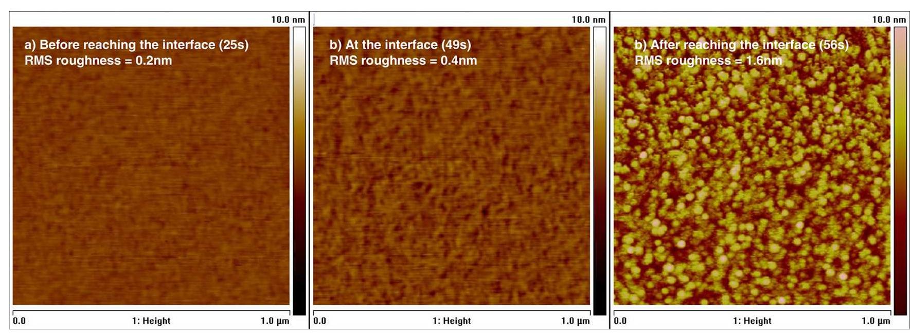 Fic. 16. (color online) afm measurements of the surface of a