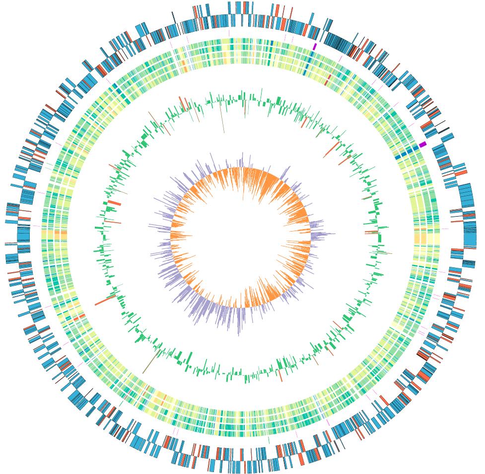 The chromosomal structure of woo. circles are numbered