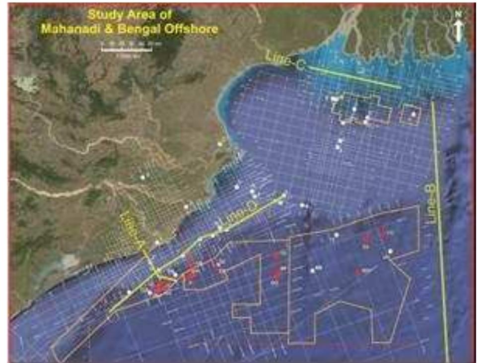 -1 map showing the area under study with seismic lines and