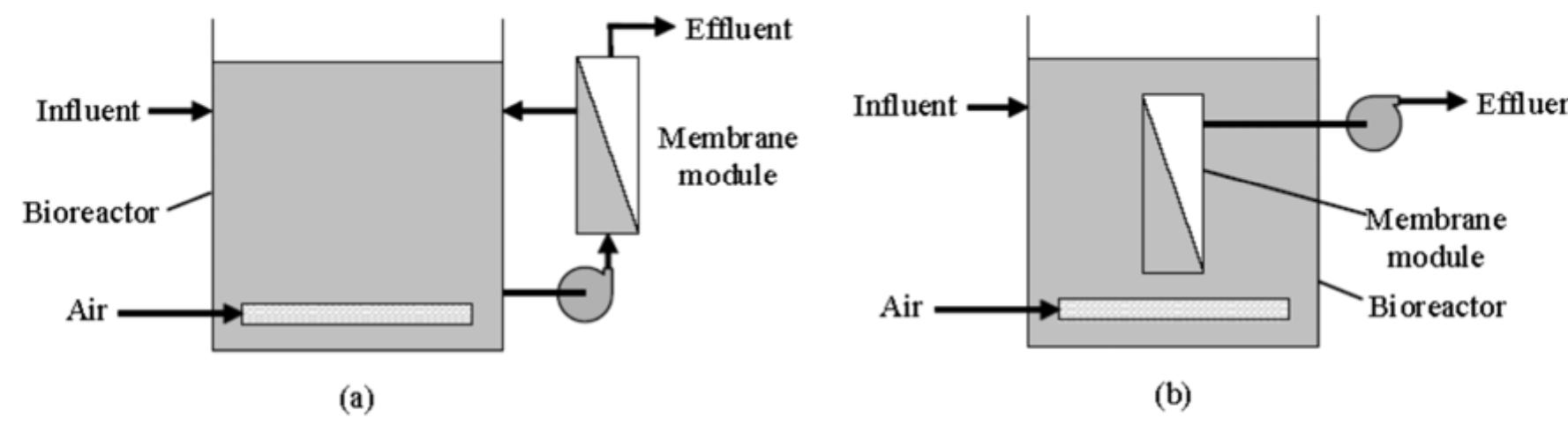 Schematic diagrams of basic membrane bioreactor