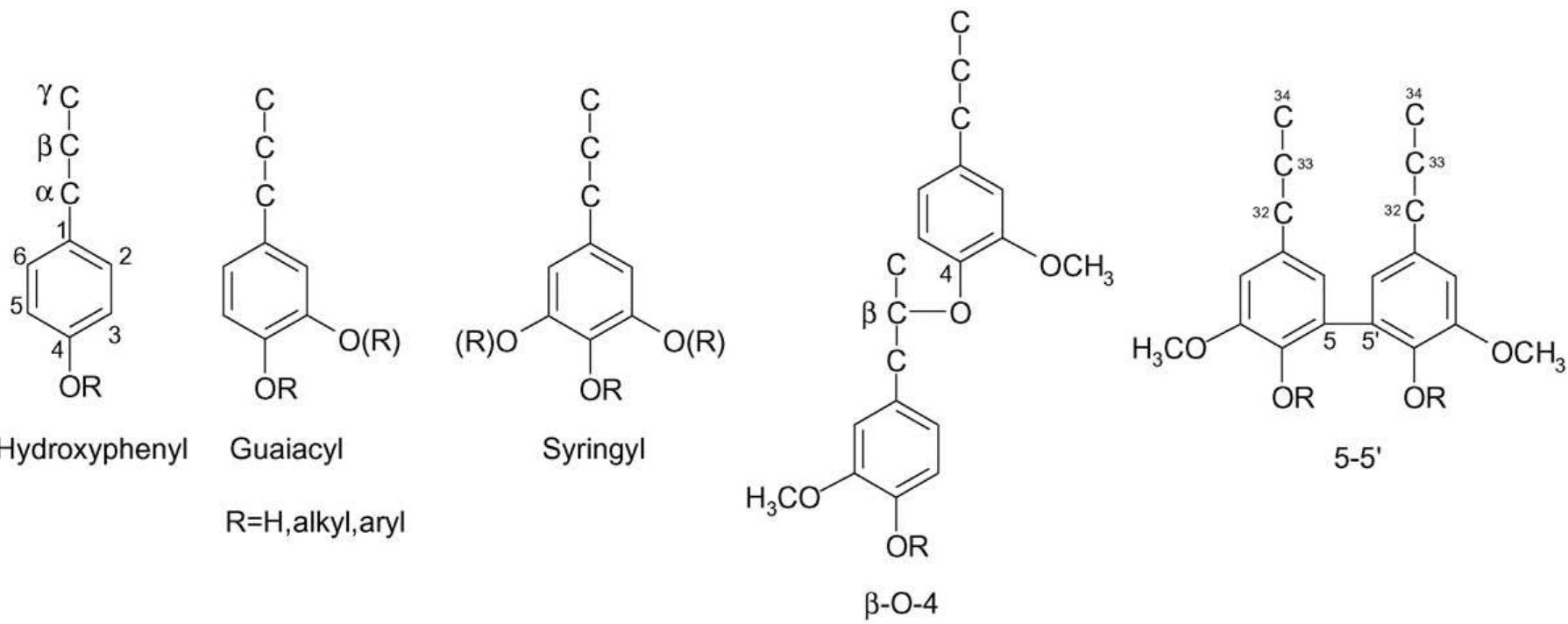 Designations used for lignin phenylpropane units and lignin
