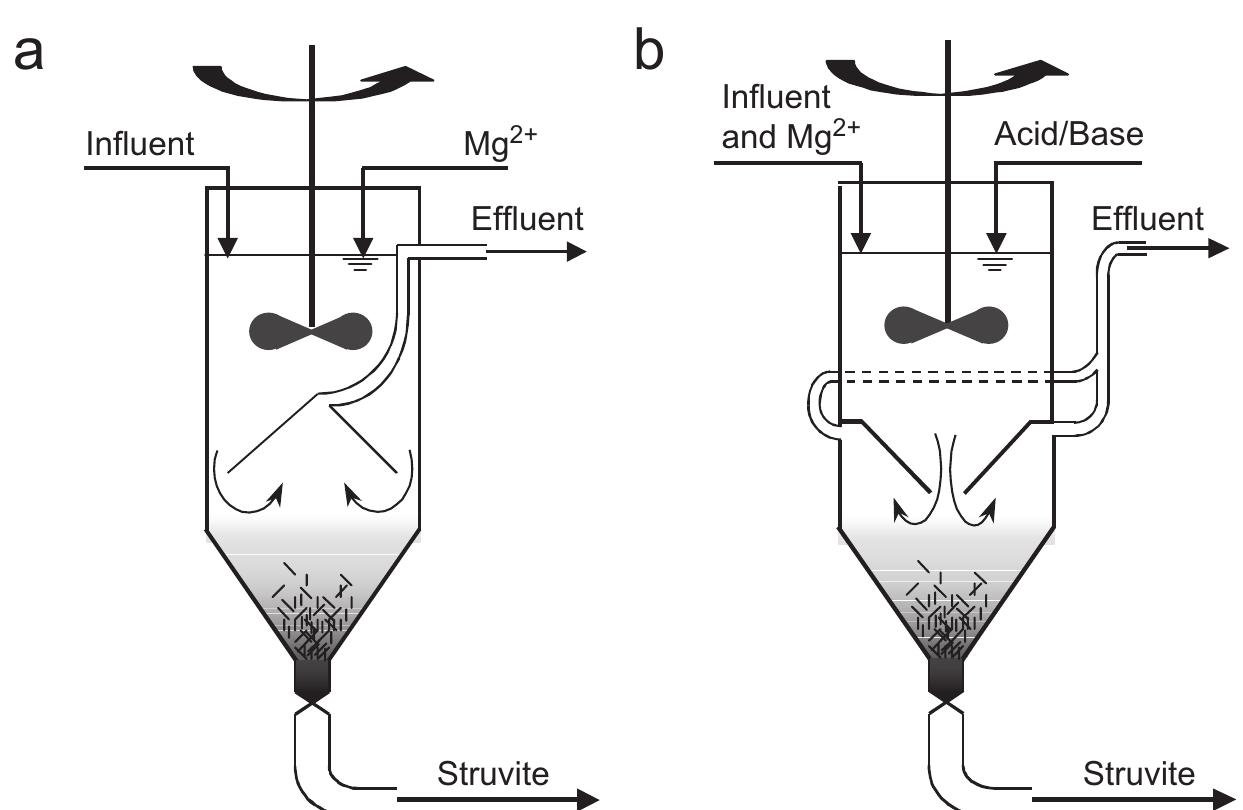 - schematic drawing of struvite precipitator with cross