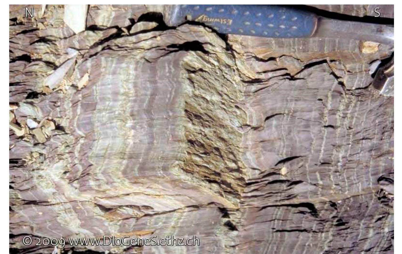 Figure 53 - Introduction to Structural Geology