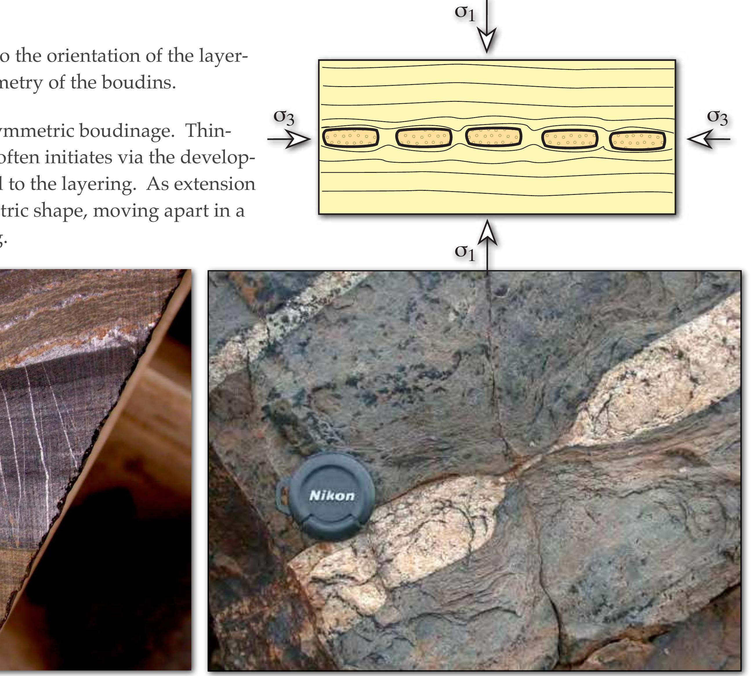 Example of symmetric boudinage of a granitic vein in a