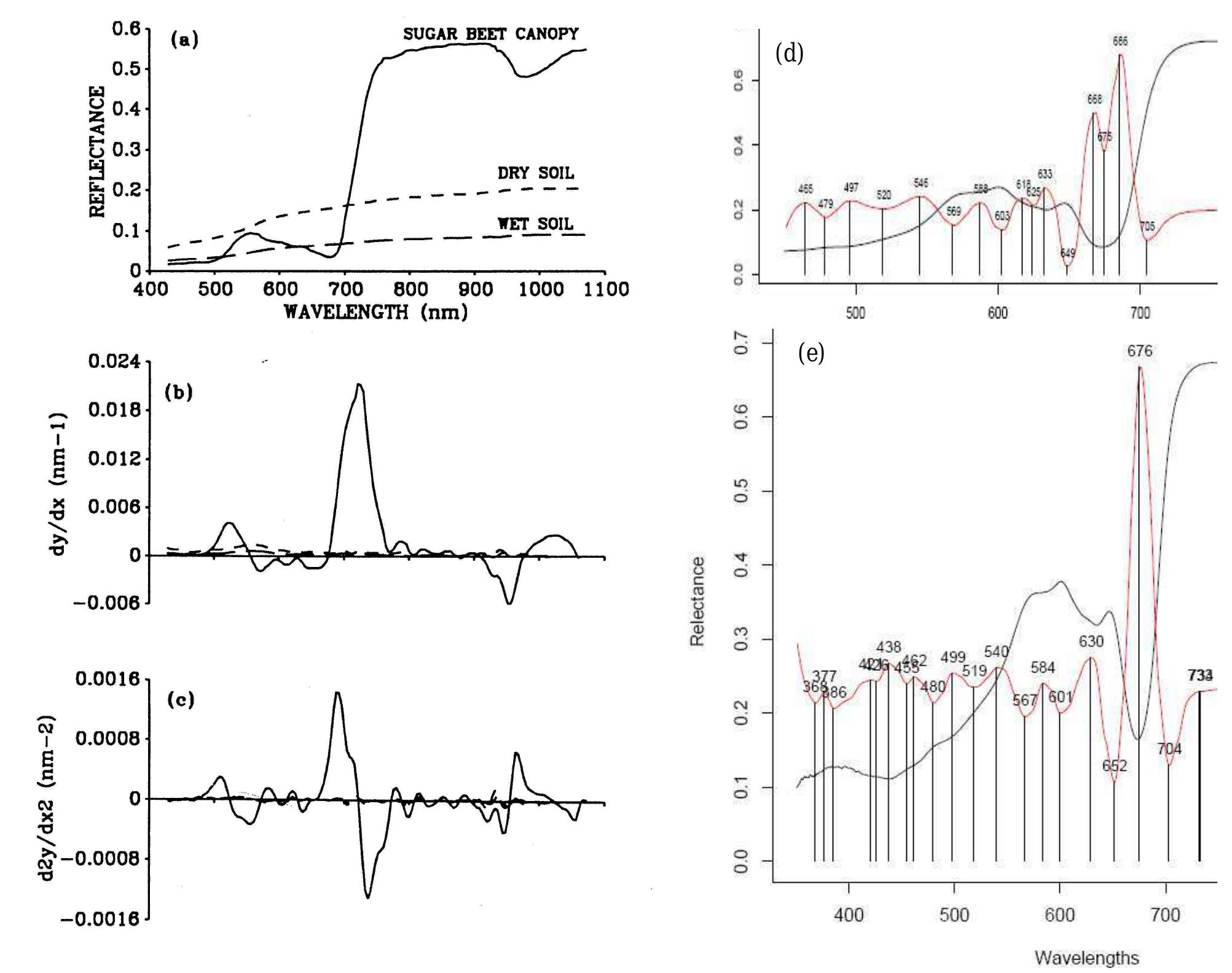 Derivative analysis of a sugar beet canopy (a-c, from