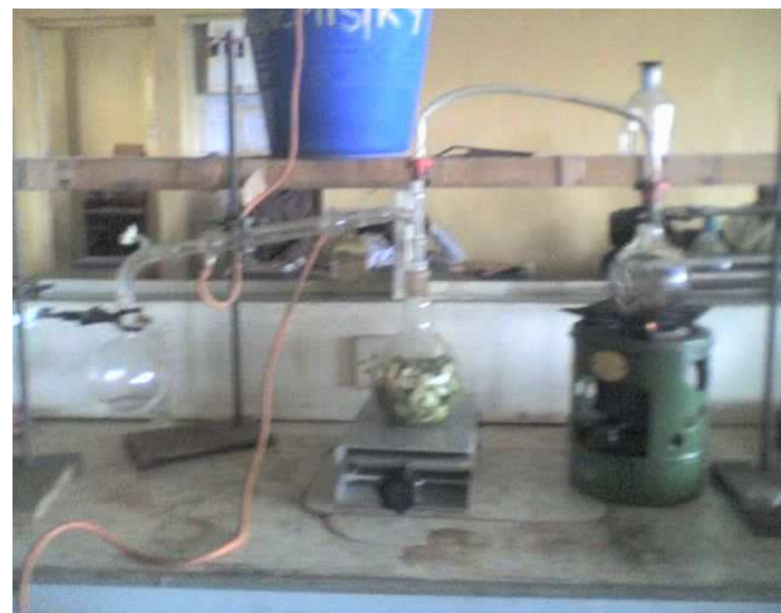 Steam distillation set-up.