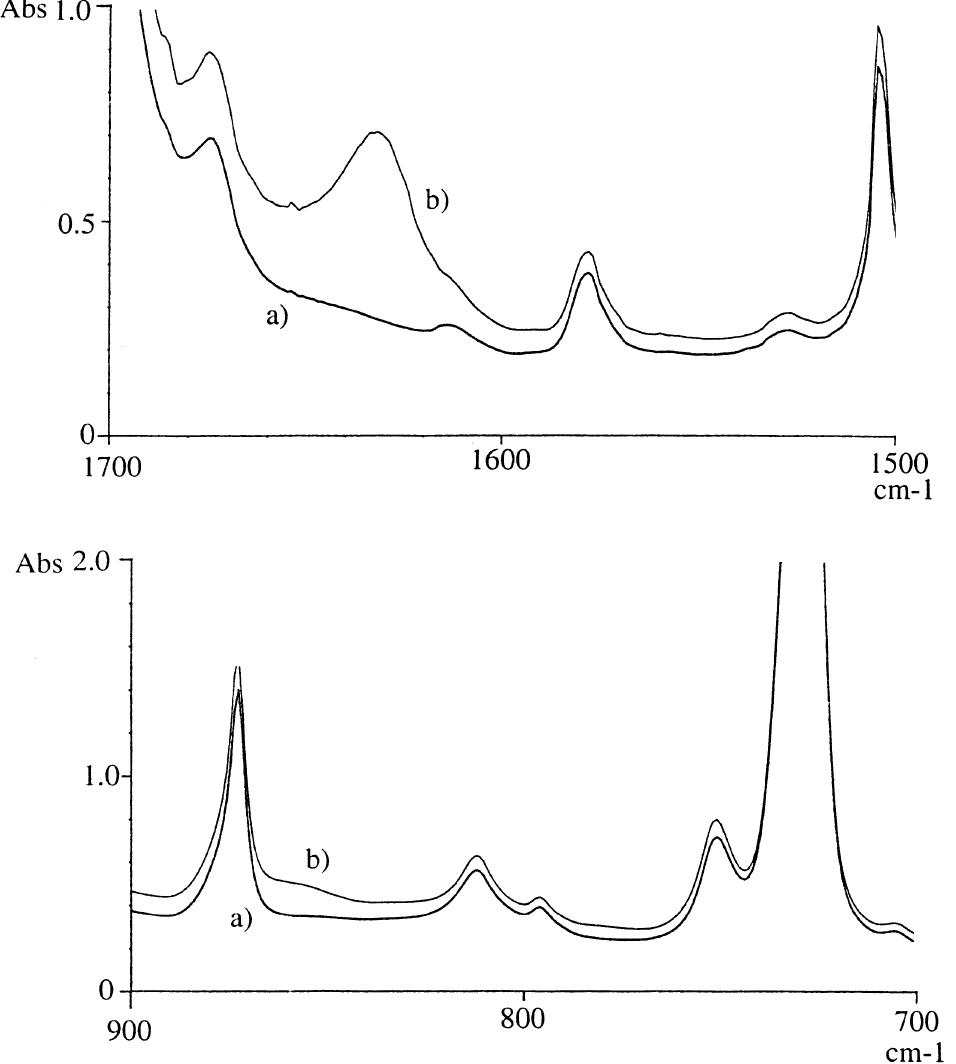 Ft-ir spectra of the polymer film degraded for 3 h: (a)
