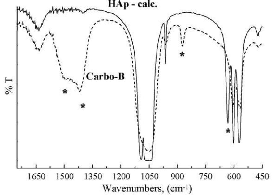 Ftir spectra of the carbo-b and calcined hydroxyapatite