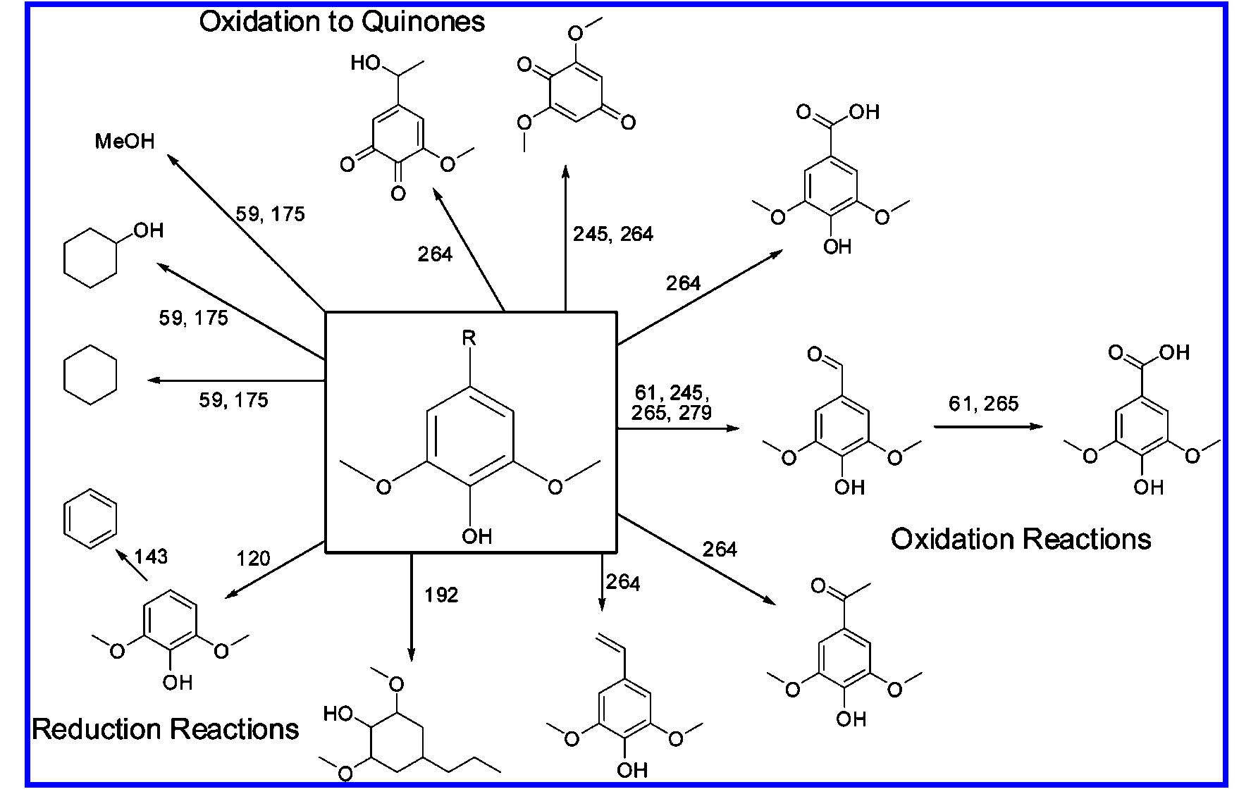 Reactions of sinapyl alcohol resembling lignin model